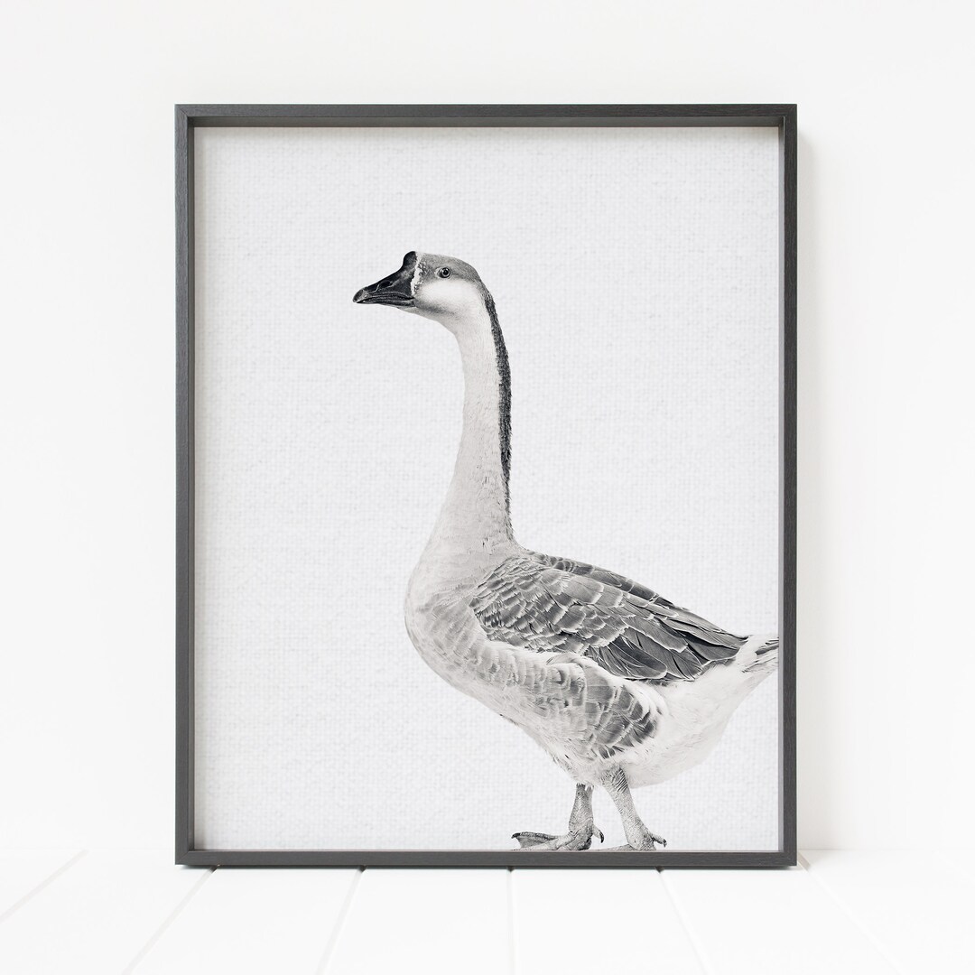 Goose Print, Printable Goose Wall Art, Goose Decor, Black and White ...