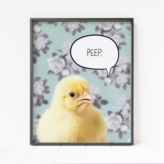 Chick Print Bird Print Chicken Print Baby Chick Wall Art | Etsy