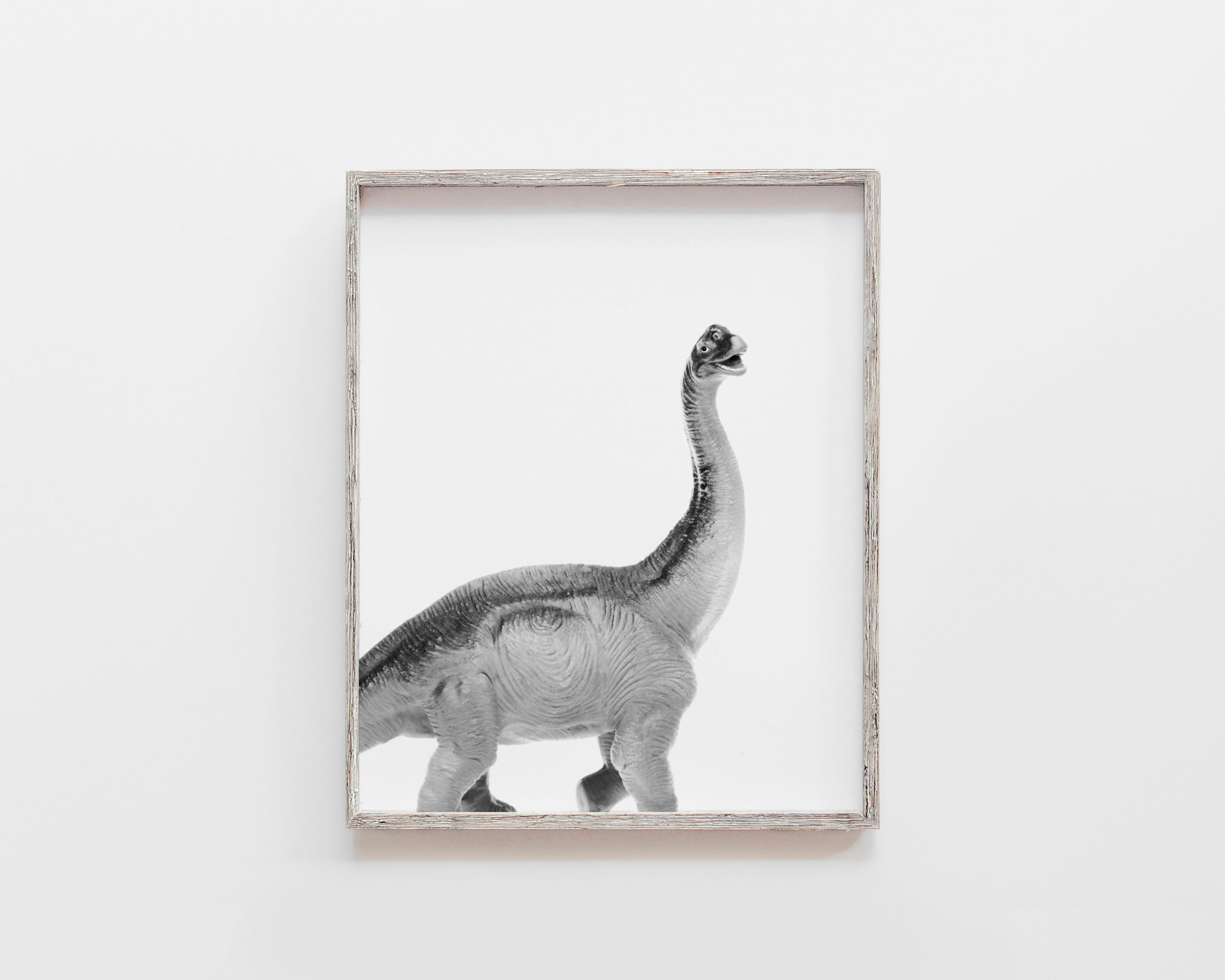 Dinosaur Print, Apatosaurus Print, Dinosaur Wall Art, Brontosaurus ...