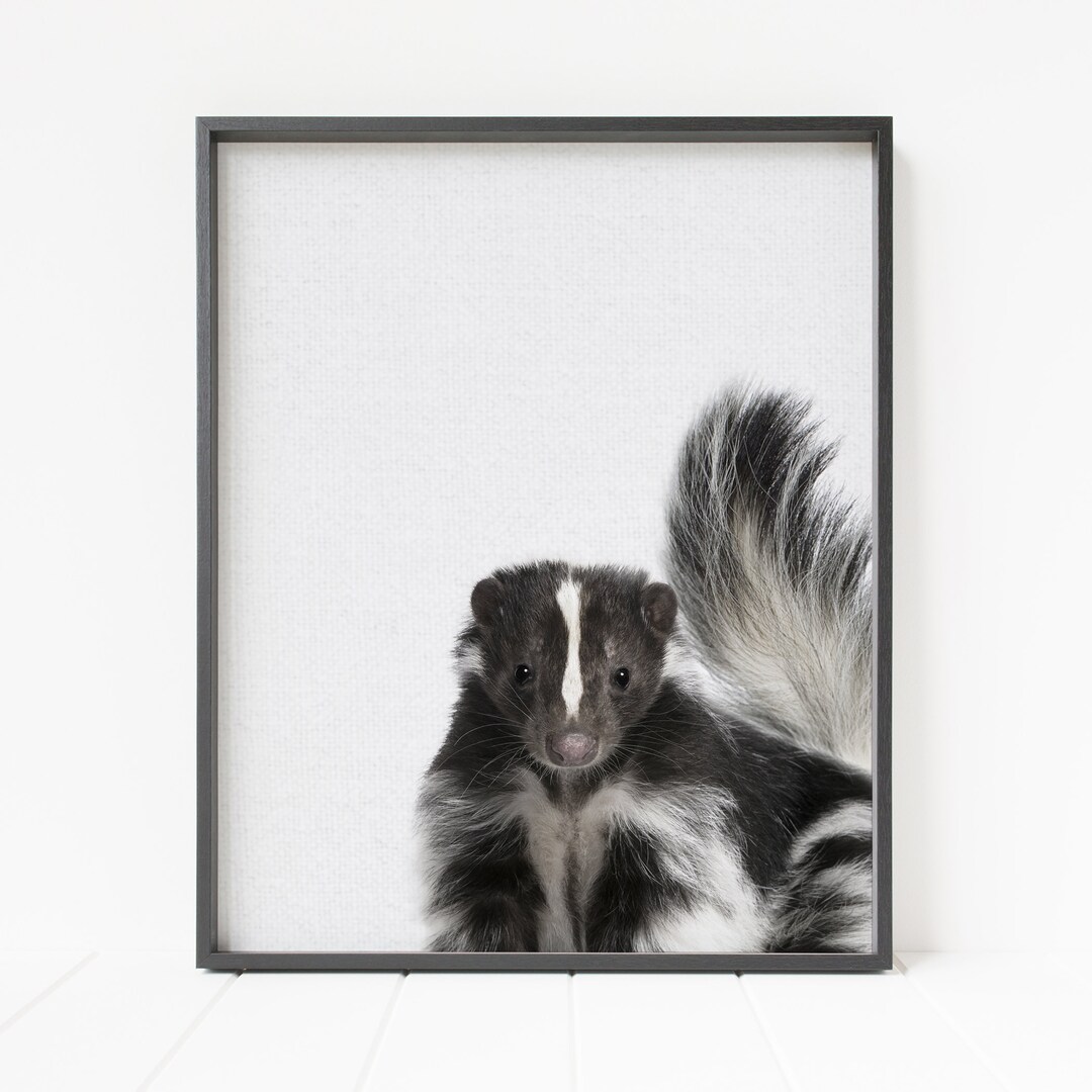 Color Skunk Print, Printable Animal Decor, Animal Nursery Art, Skunk ...