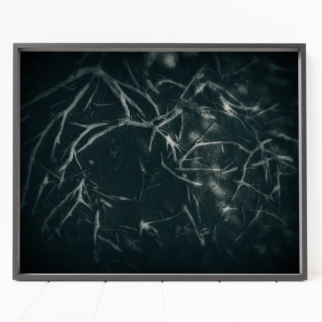 Forest Print, Tree Print, Tree Roots Print, Tree Decor, Fairy Tale ...