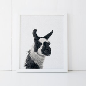 Llama Print, PRINTABLE Llama Wall Decor, Llama Nursery Art, Minimalist ...