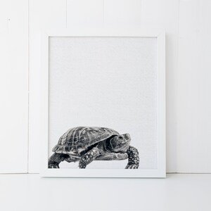 Box Turtle Print, Turtle Nursery Decor, Woodland Nursery Art, Printable ...