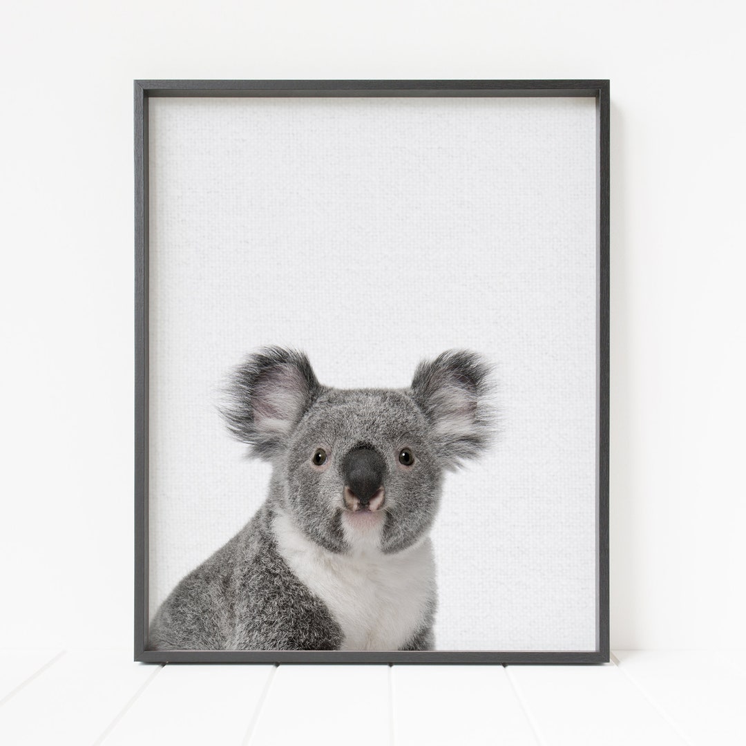 Koala Color Print, PRINTABLE Animal Wall Decor, Koala Decor, Nursery ...