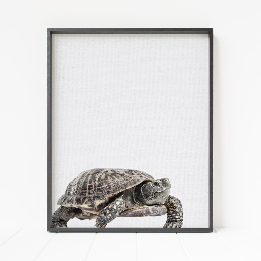 Turtle Wall Art, Color Turtle Print, Box Turtle, Turtle Decor, Woodland ...