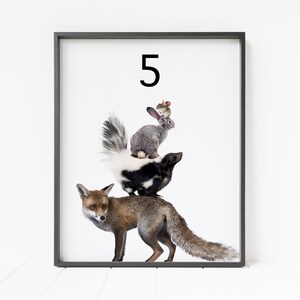 Woodland Animal Print, Nursery Numbers, Nursery Animal Decor, Counting ...