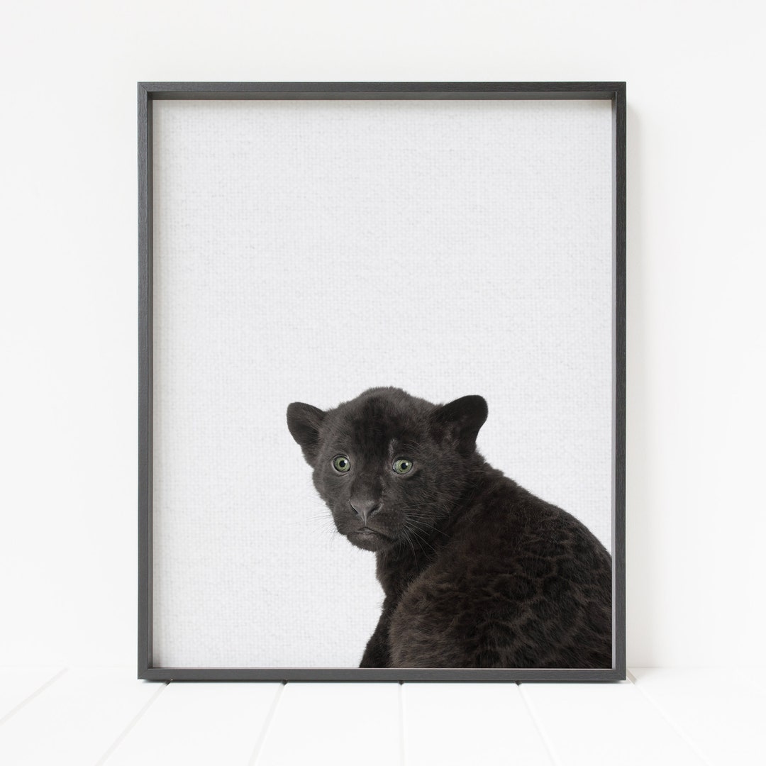 Color Jaguar Print, Baby Animal Print, Nursery Decor, Rainforest Decor ...