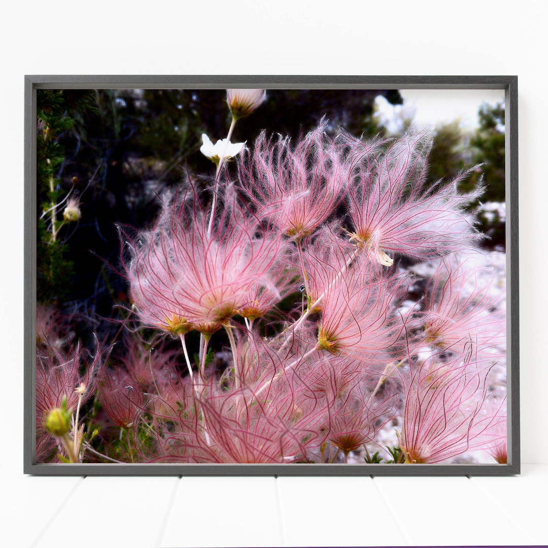 Desert Print, Desert Flowers Print, Desert Wall Art, Pink Flower Print ...