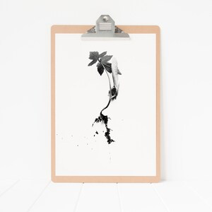 Maple Tree Seedling Print, Botanical Print, Botanical Decor, Minimalist ...