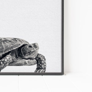 Box Turtle Print, Turtle Nursery Decor, Woodland Nursery Art, Printable ...