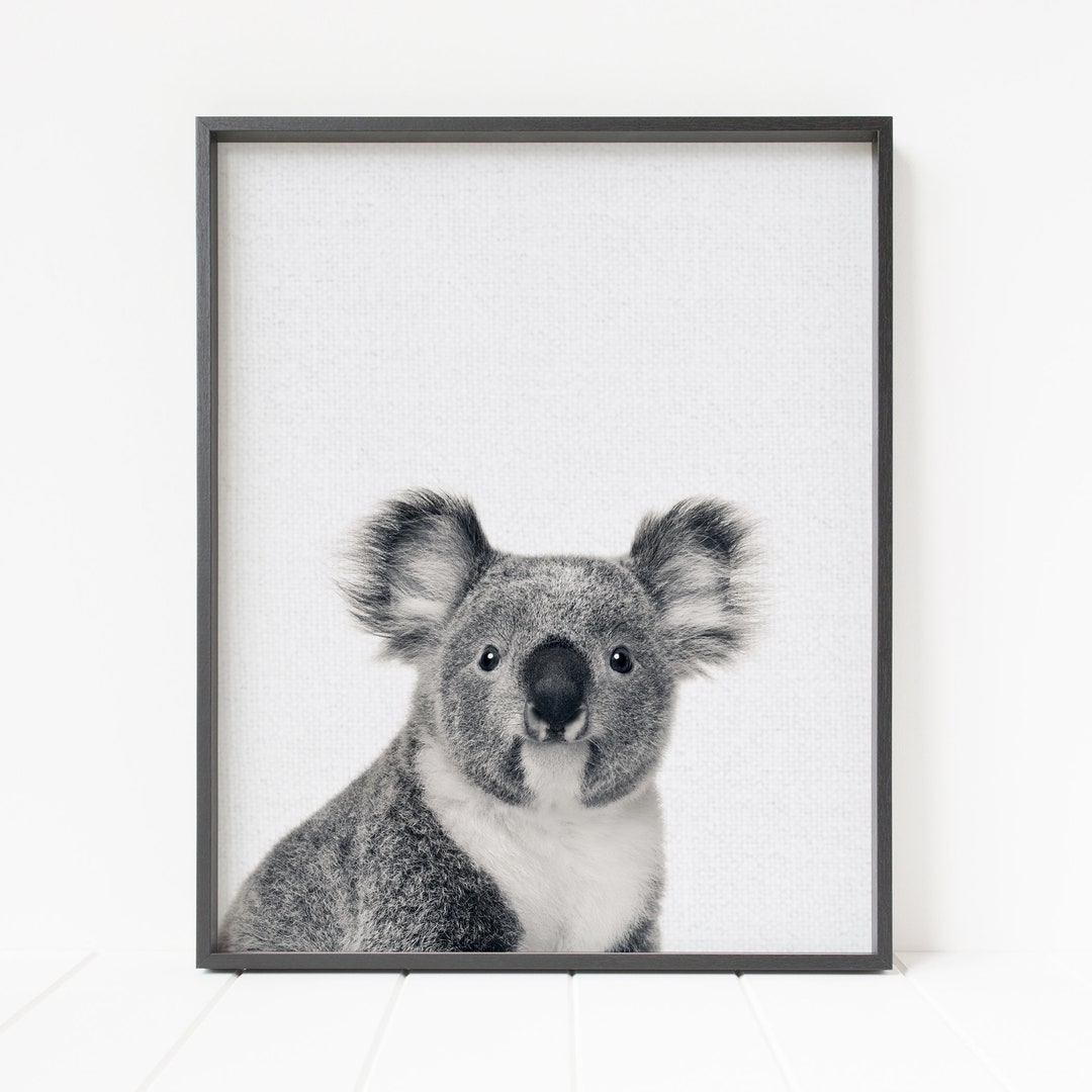 Koala Print, PRINTABLE Animal Wall Decor, Koala Decor, Nursery Wall Art ...