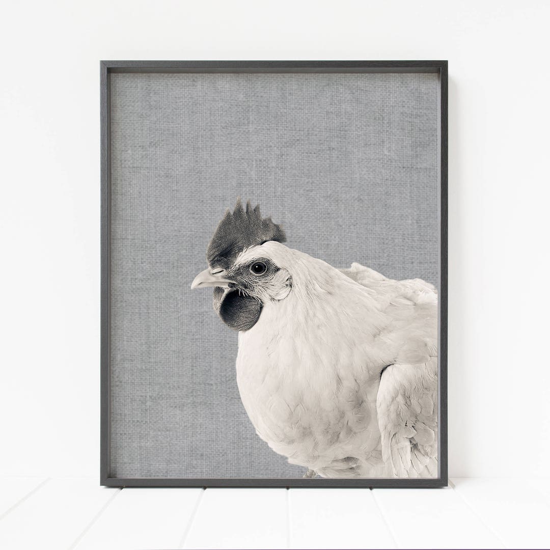 Chicken Wall Art, Chicken Printable Art, Chicken Print, Chicken Decor ...