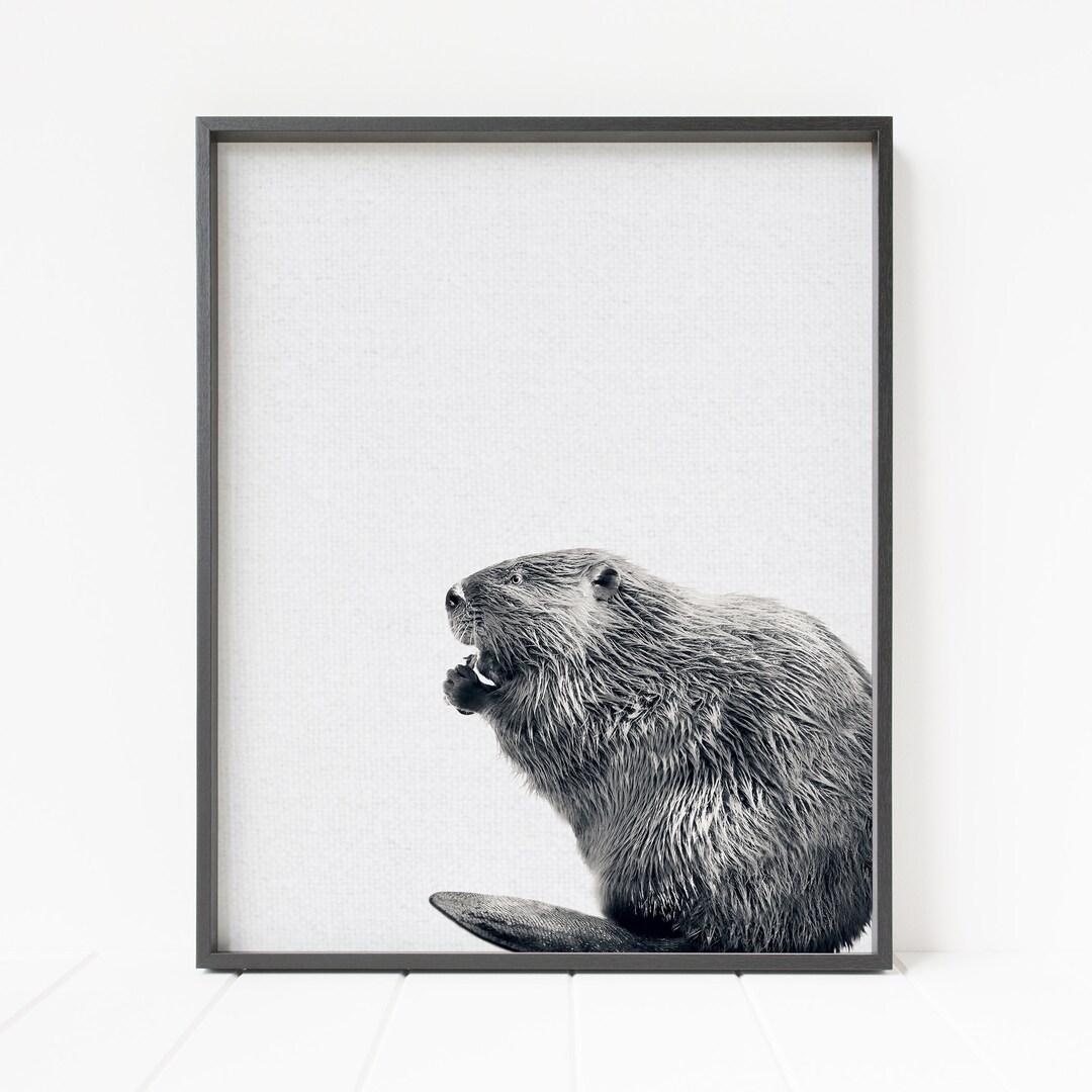 Printable Beaver Print, Woodland Animal Nursery Decor, Black and White ...