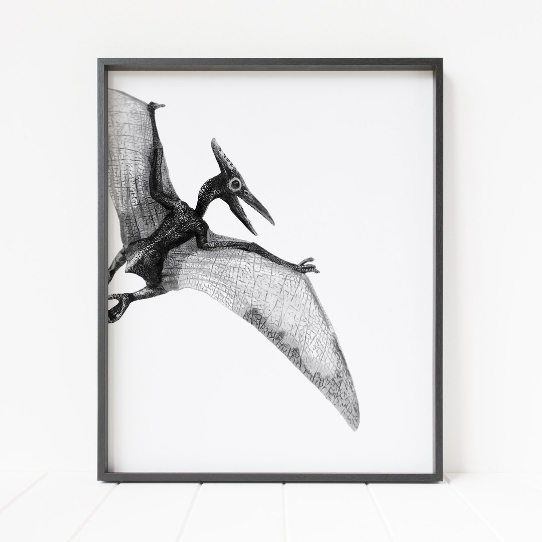 Dinosaur Print, Pterosaur Print, Dinosaur Wall Art, Dinosaur Decor ...