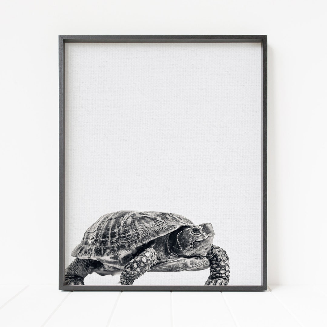 Box Turtle Print, Turtle Nursery Decor, Woodland Nursery Art, Printable ...