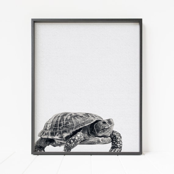 Box Turtle Print Turtle Nursery Decor Woodland Nursery Art - Etsy