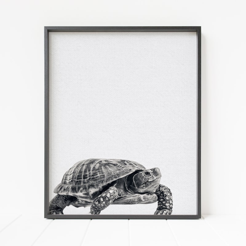 Turtle Print - Etsy