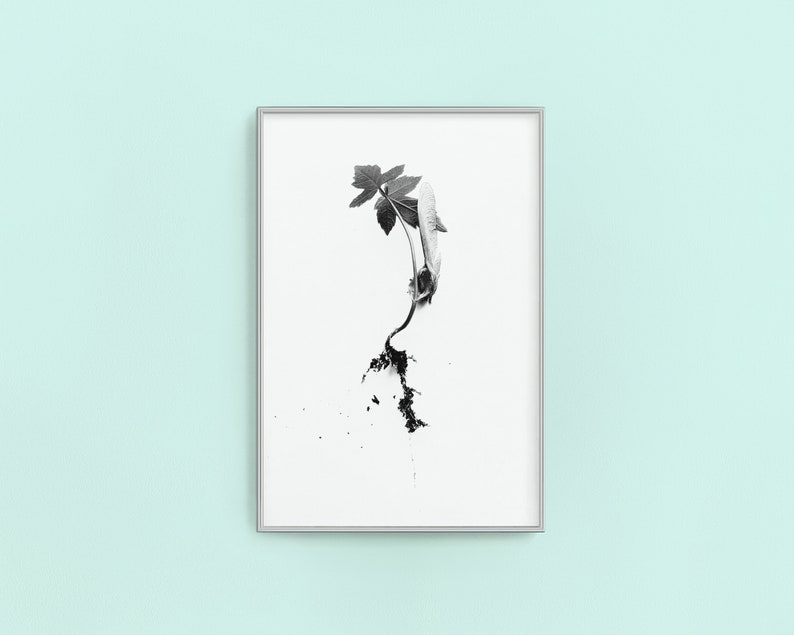 Maple Tree Seedling Print Botanical Print Botanical Decor | Etsy