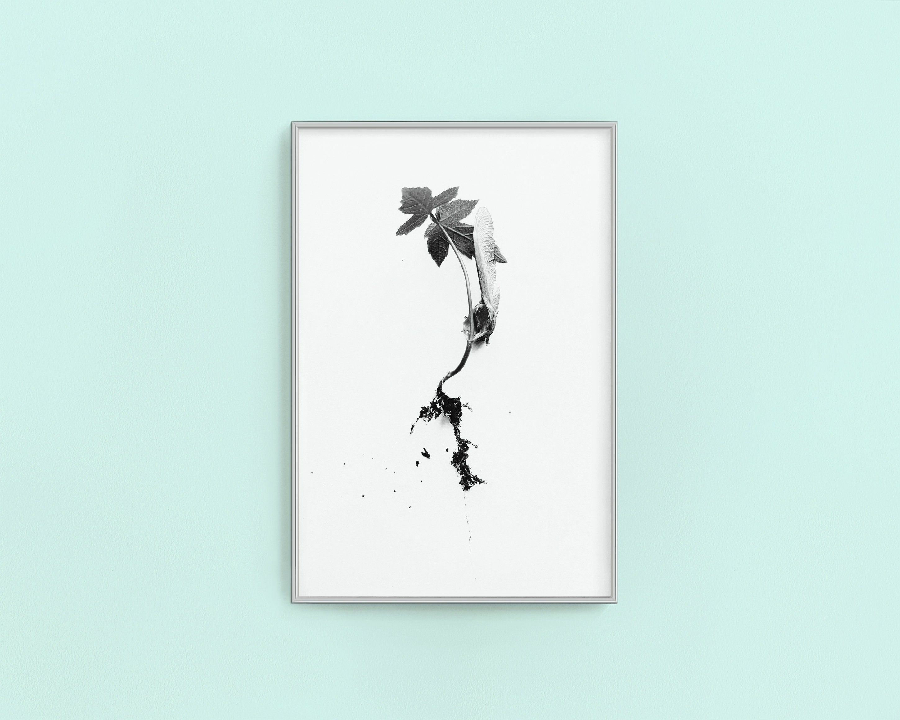 Maple Tree Seedling Print, Botanical Print, Botanical Decor, Minimalist ...
