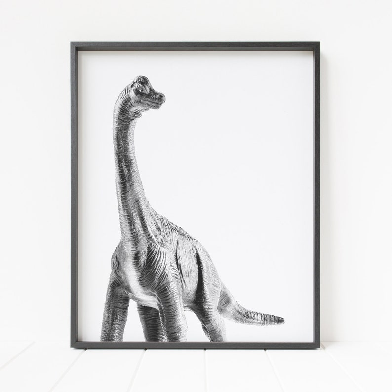 Dinosaur Wall Decor Dinosaur Wall Art Dinosaur Print - Etsy