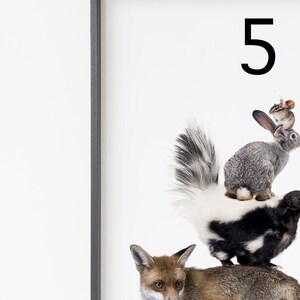 Woodland Animal Print, Nursery Numbers, Nursery Animal Decor, Counting ...