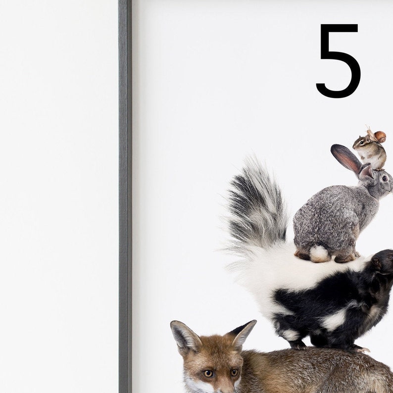 Woodland Animal Print, Nursery Numbers, Nursery Animal Decor, Counting ...