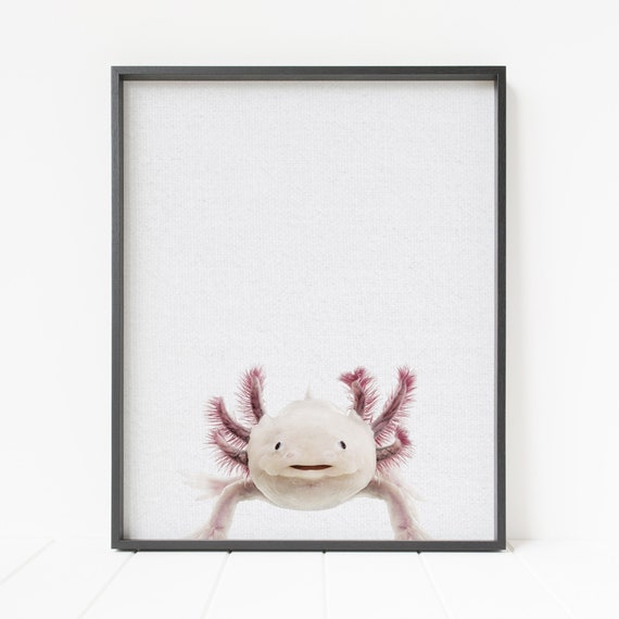 Axolotl Print Axolotl Wall Art Axolotl Decor Nursery Animal - Etsy Canada