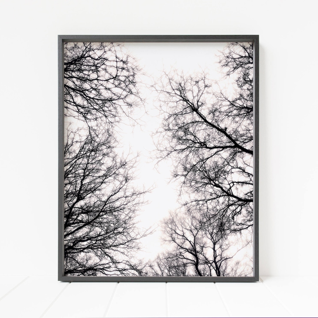 Tree Printable Wall Art, Tree Print, Forest Wall Art, Fog Photo ...