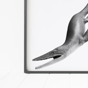 Mosasaur Print, Mosasaurus Dinosaur Wall Art, Swimming Dinosaur, Water ...