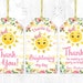Editable Favor Tags Sunshine Birthday Party Decor Printable Edit ...