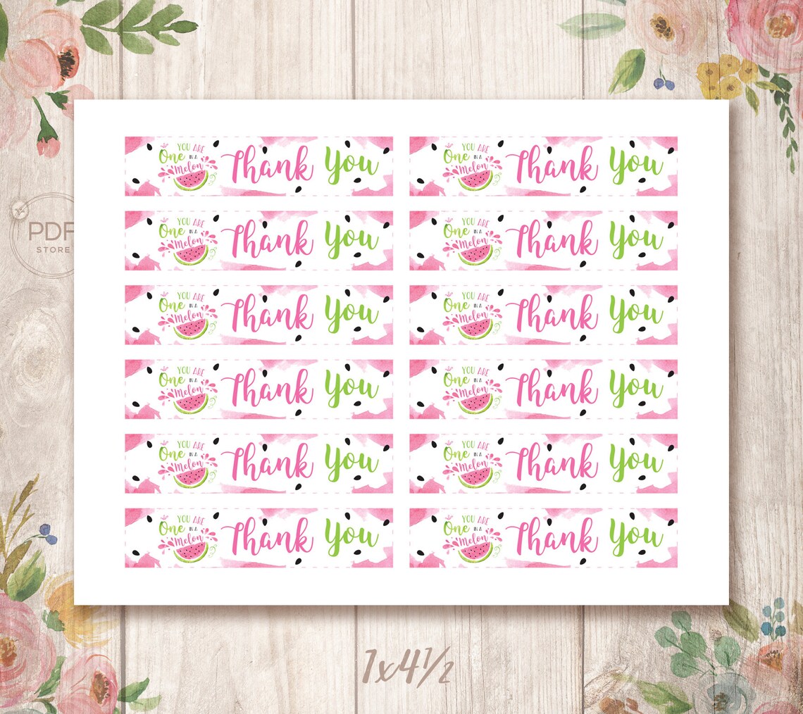 Watermelon Favor Tags Birthday Party One in a Melon 1st - Etsy