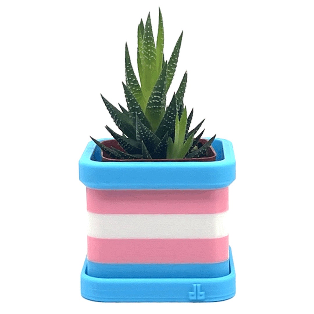 Transgender Pride Flag 2 Inch Planter With Drip Tray - Etsy