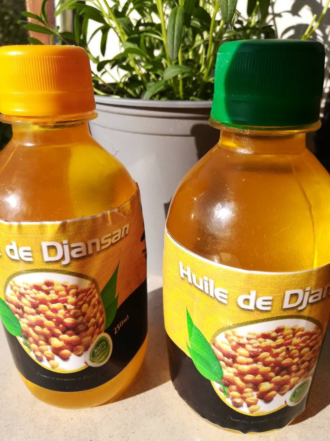 Pure Djansang/akpi oil. 250ml Gluteus firm and voluminous | Etsy