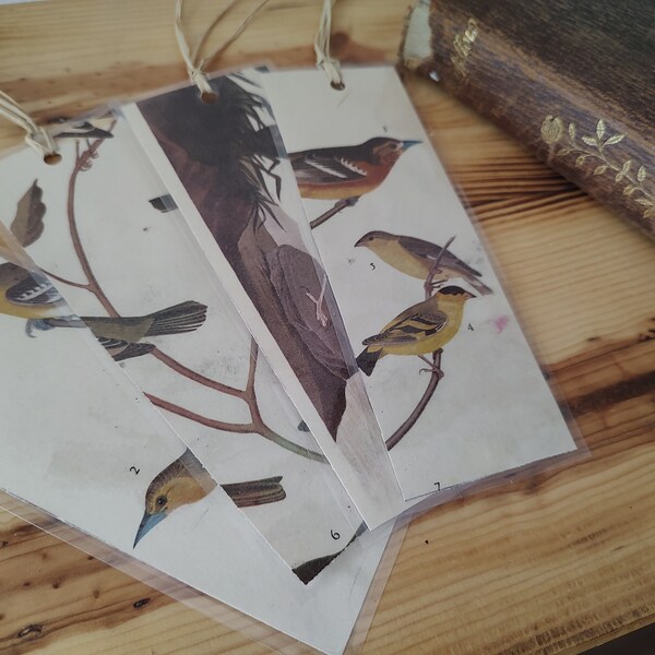 Bird Bookmark - Etsy