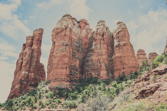 Retro Vintage Nature Photography