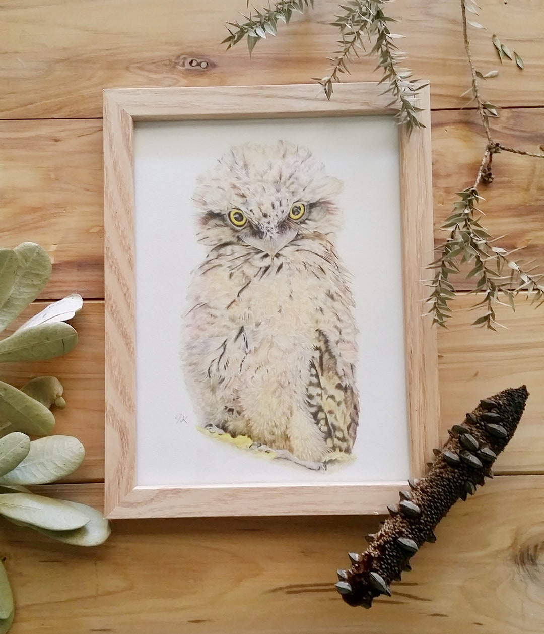 Cheeky Tawny Frogmouth Colour Pencil Drawing Print, Australian Bird Art ...