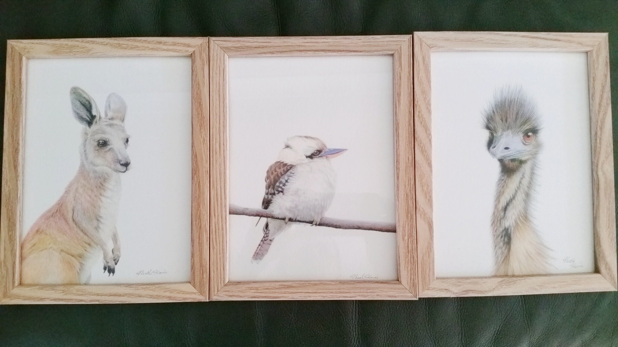 Australian Emu Giclee Print Australian Animal Print Cute Emu - Etsy ...