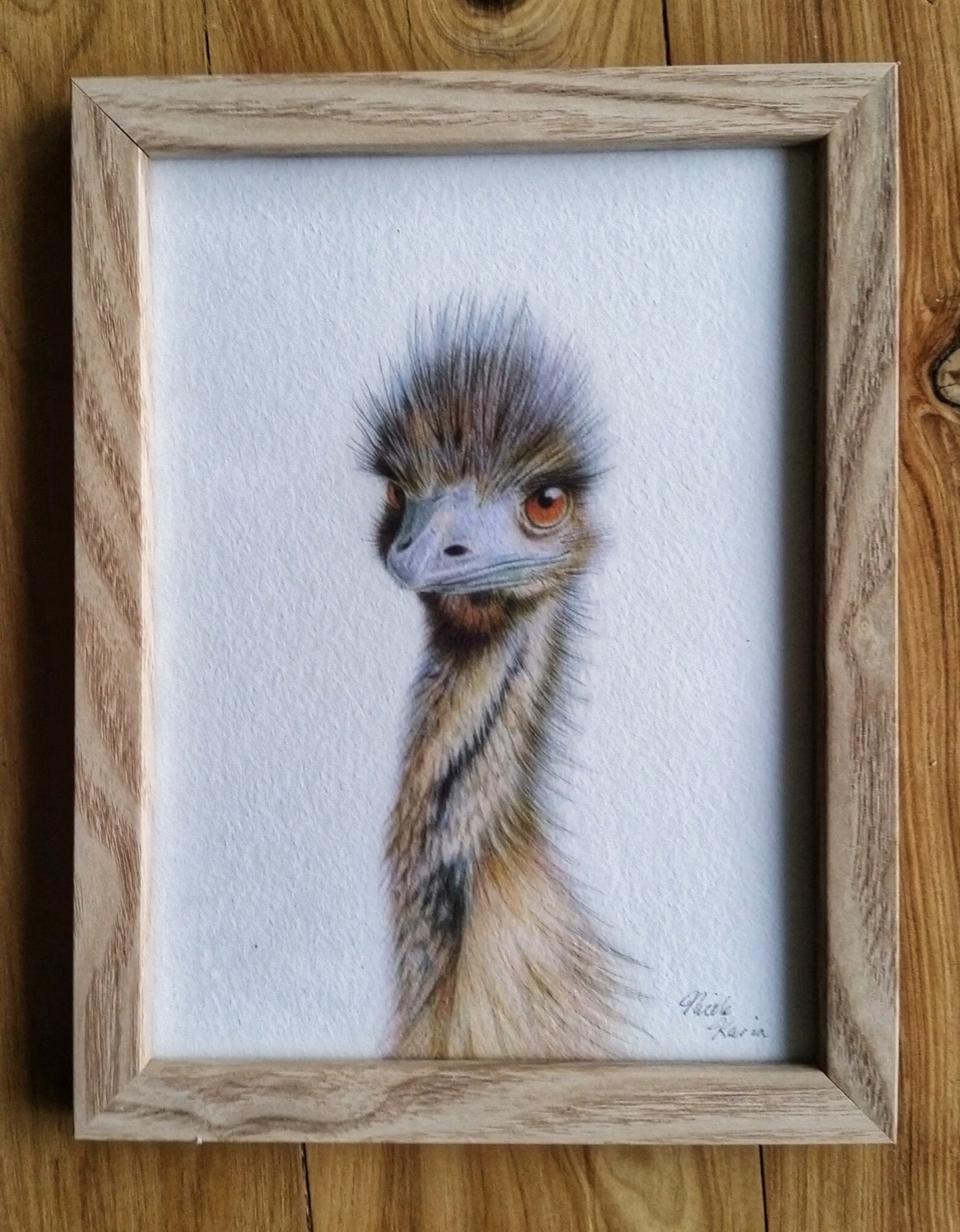 Australian Emu Giclee Print, Australian Animal Print, Cute Emu Print ...
