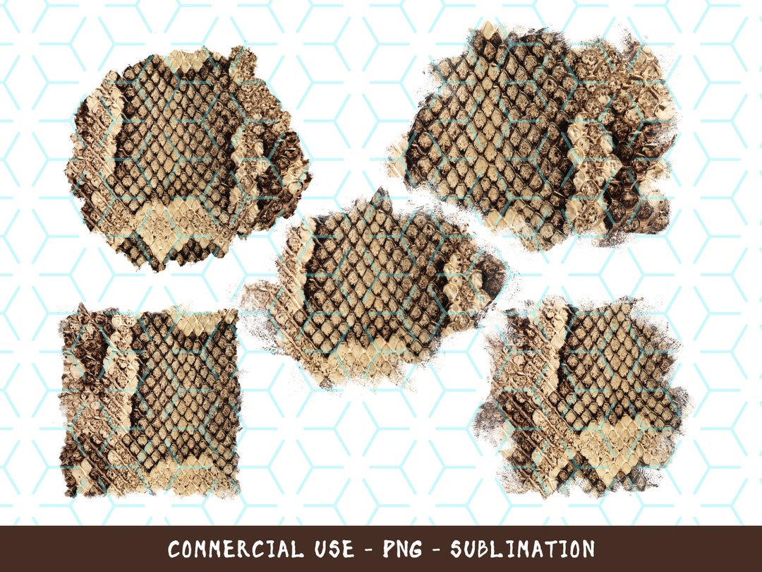 Snake Skin Sublimation Patches PNG Patch Distressed Snake Skin Instant ...