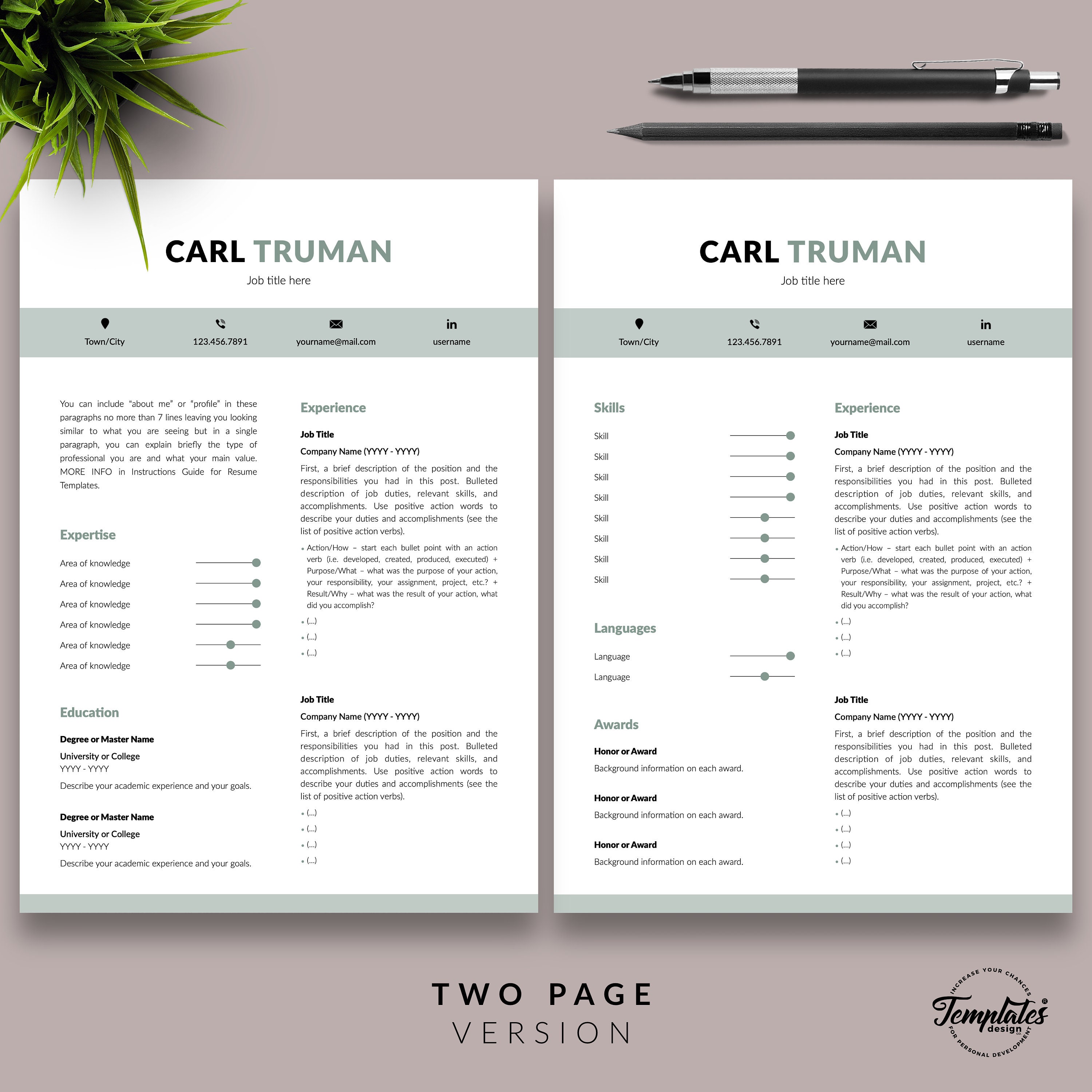 Elegant CV Resume Template / Resume for Microsoft Word and Apple Pages ...
