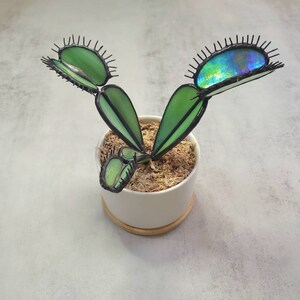 Stained Glass Venus Fly Trap - Etsy