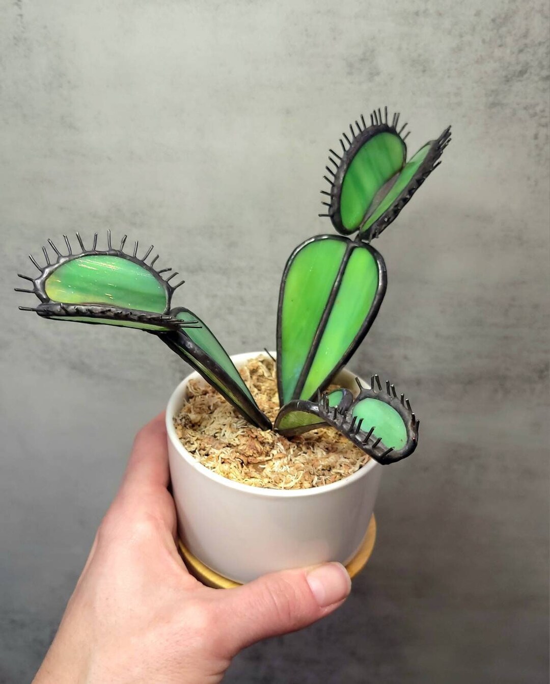 Stained Glass Venus Fly Trap - Etsy