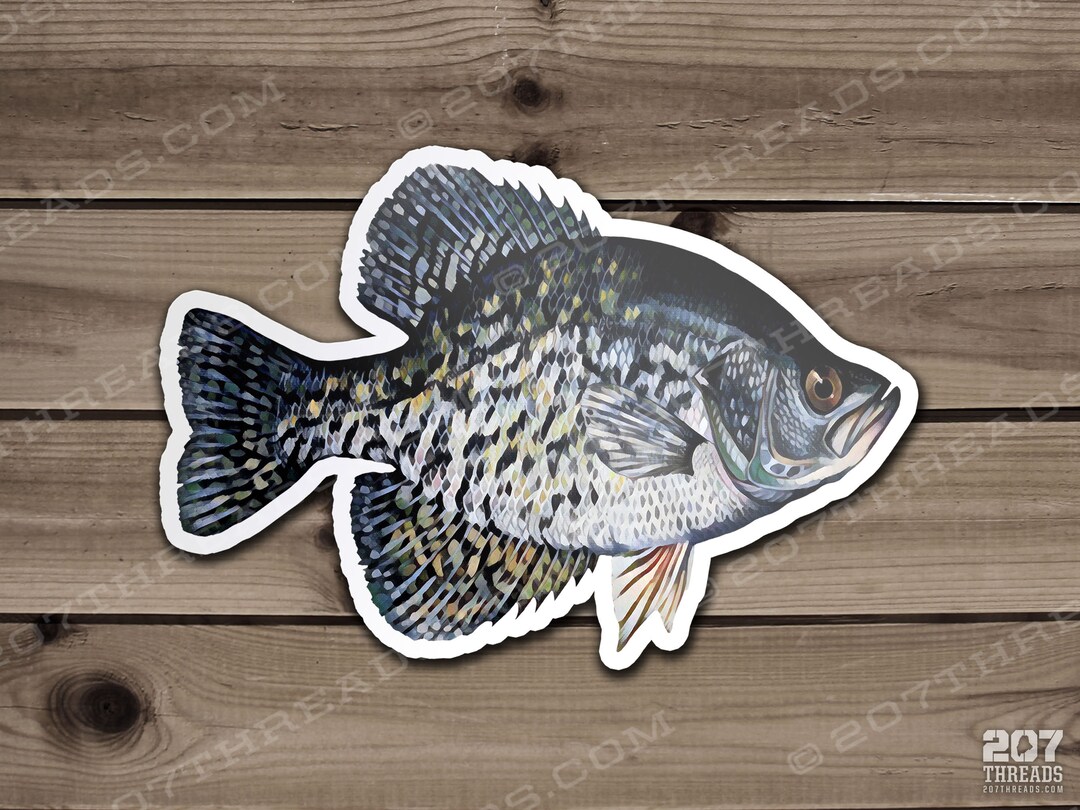Black Crappie Sticker | Panfish Ice Fishing Decal Fisherman Fish ...