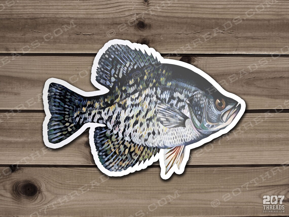 Black Crappie Sticker Panfish Ice Fishing Decal Fisherman - Etsy