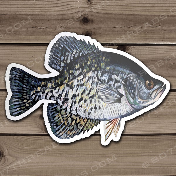 Crappie Decal - Etsy