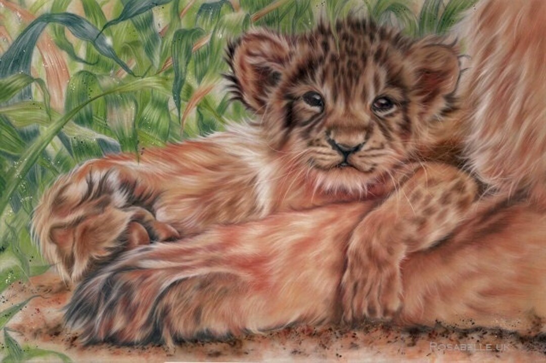 Lion Cub Art Lioness and Cub Art ORIGINAL Drawing Big Cat - Etsy