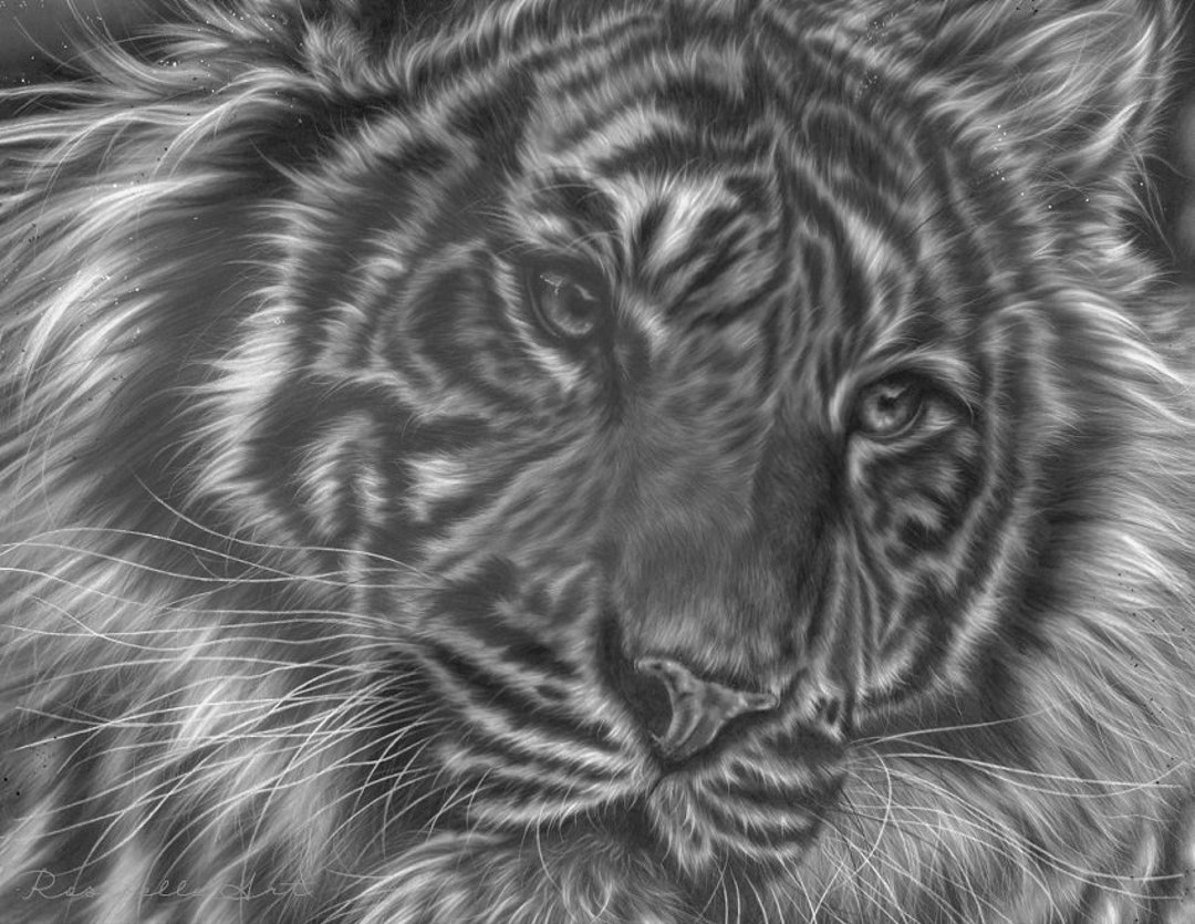 Tiger Art ORIGINAL Drawing Spirit Animal Art Tiger Drawing - Etsy