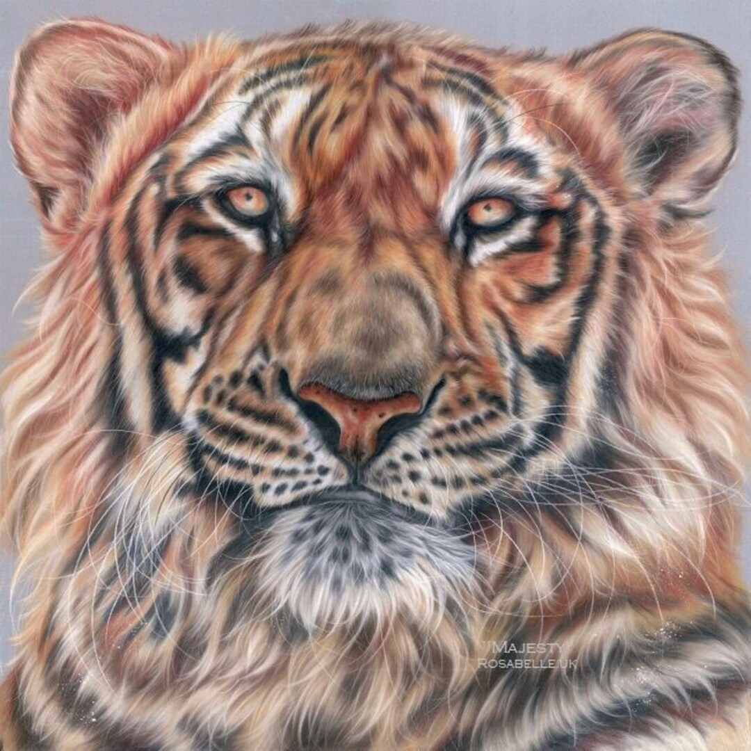Tiger Art ORIGINAL Drawing, Tiger Art, Art for Tiger Lovers, Big Cats ...