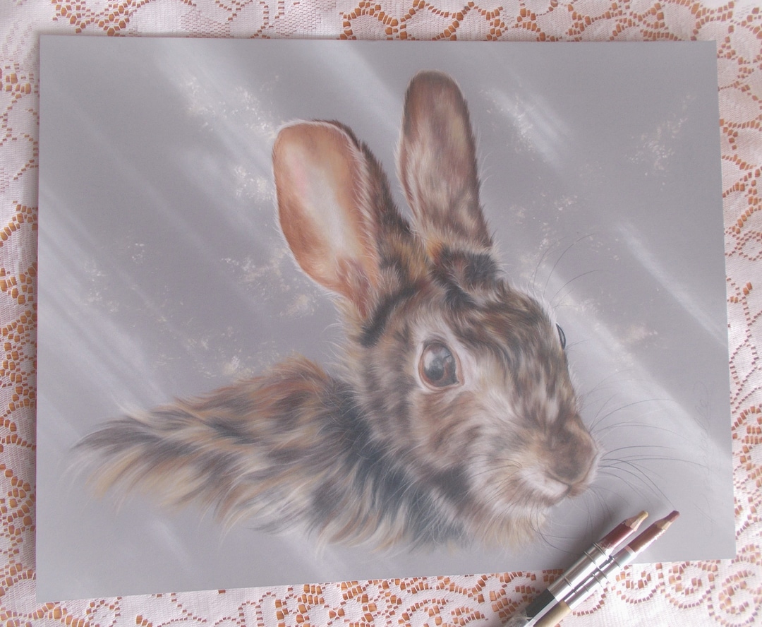 Hare Art ORIGINAL Drawing, Countryside Animal Art, Hare Art, FREE ...