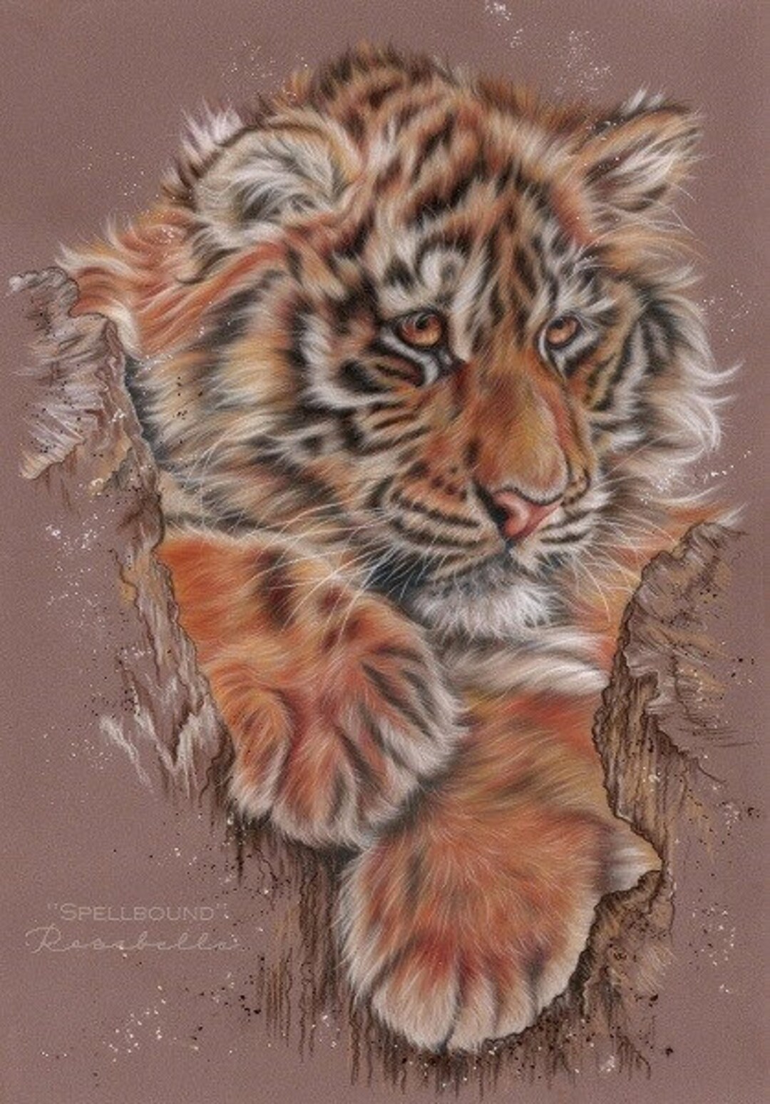 Tiger Art ORIGINAL Drawing Spirit Animal Art Tiger Cub Big - Etsy